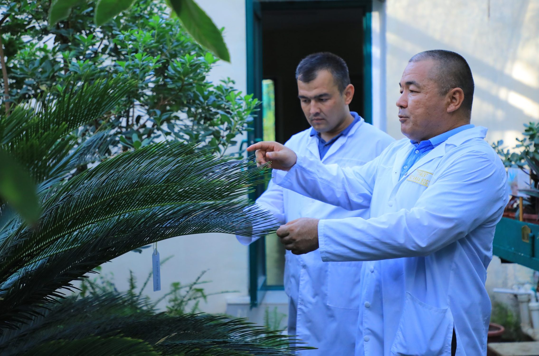 О‘rmon xо‘jaligi va landshaft dizayn fakulteti | Toshkent davlat agrar ...