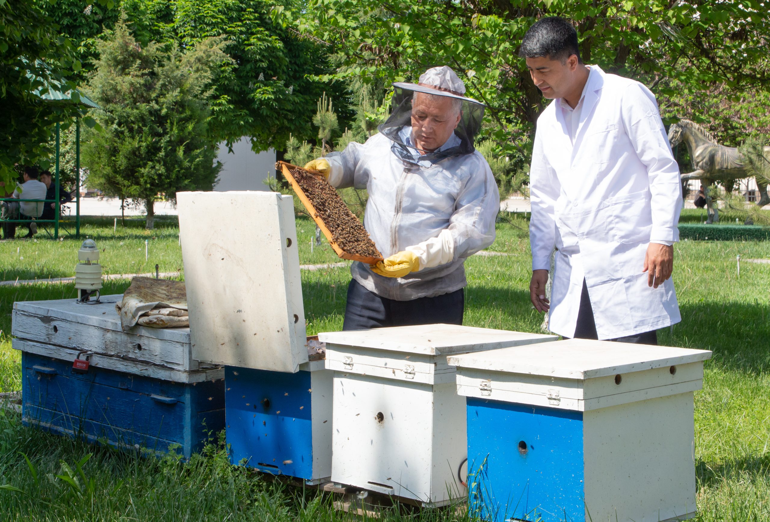 Zooengineering Faculty | Tashkent state agrar university | Uzbekistan